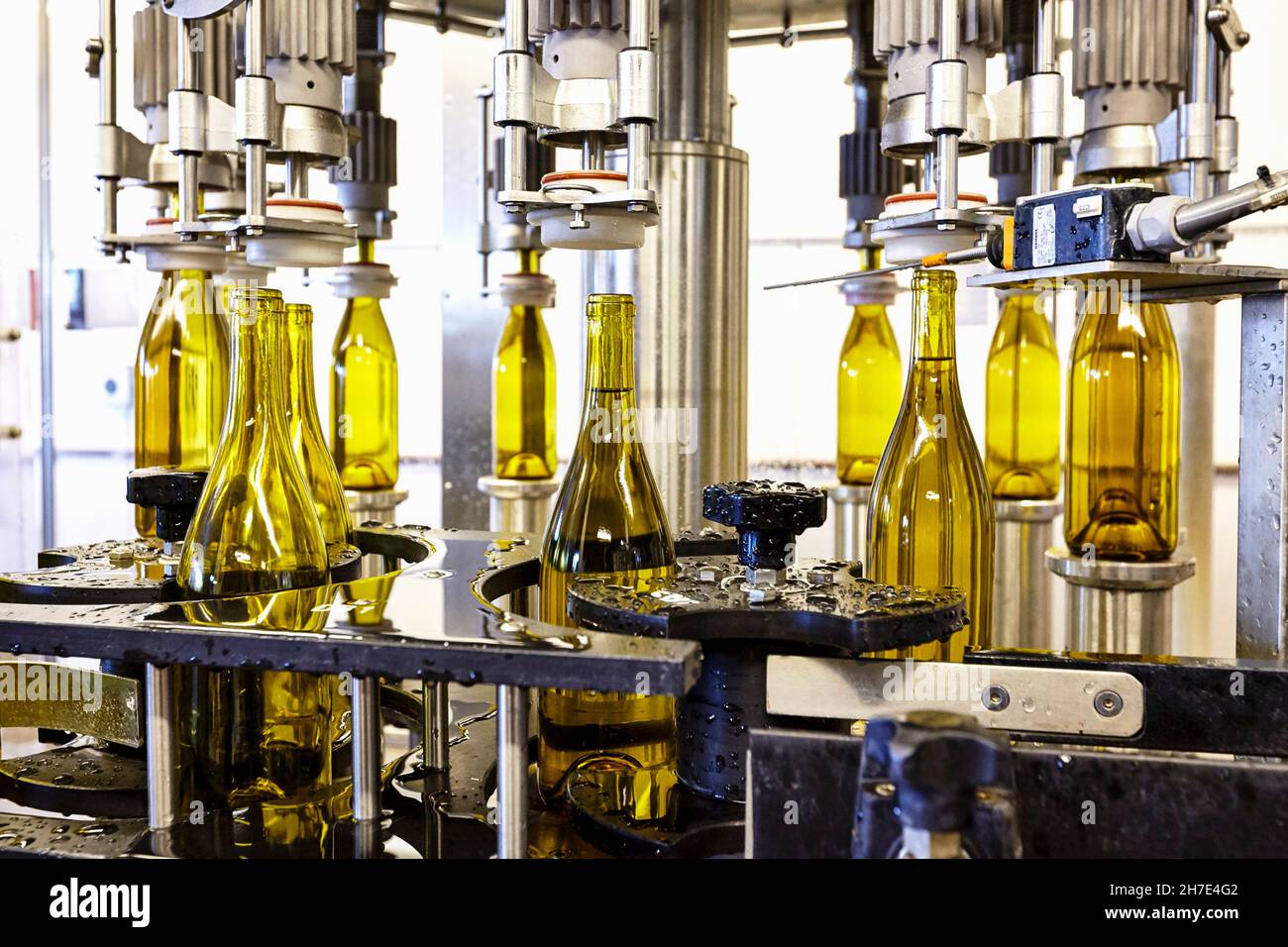 Wine Bottles in Bottling Plant at Marques de Riscal Winery in Rioja ...