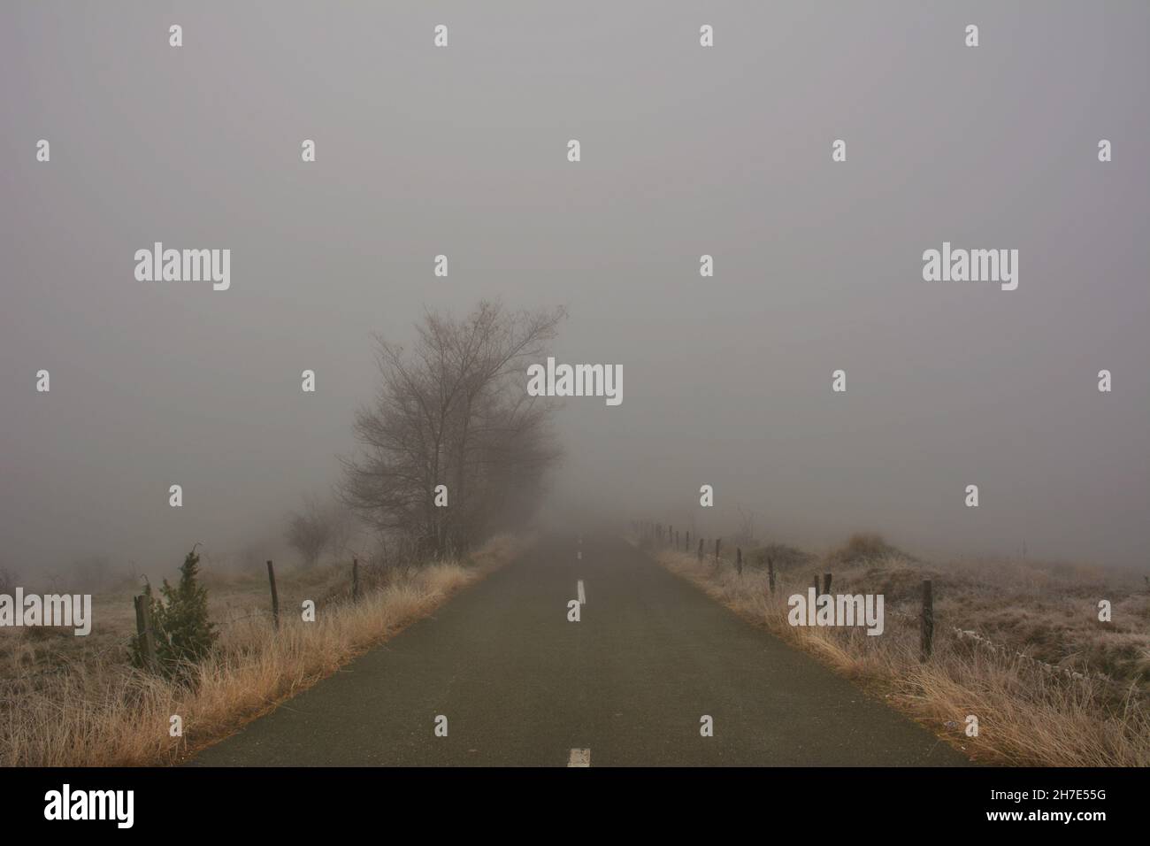 Road in the countryside on a foggy day Stock Photo - Alamy