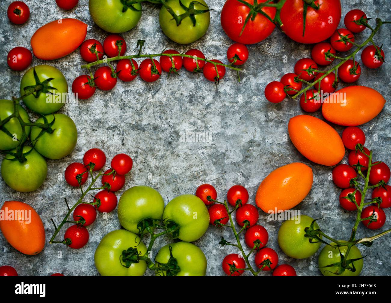 Fresh colorful tomatoes Stock Photo - Alamy