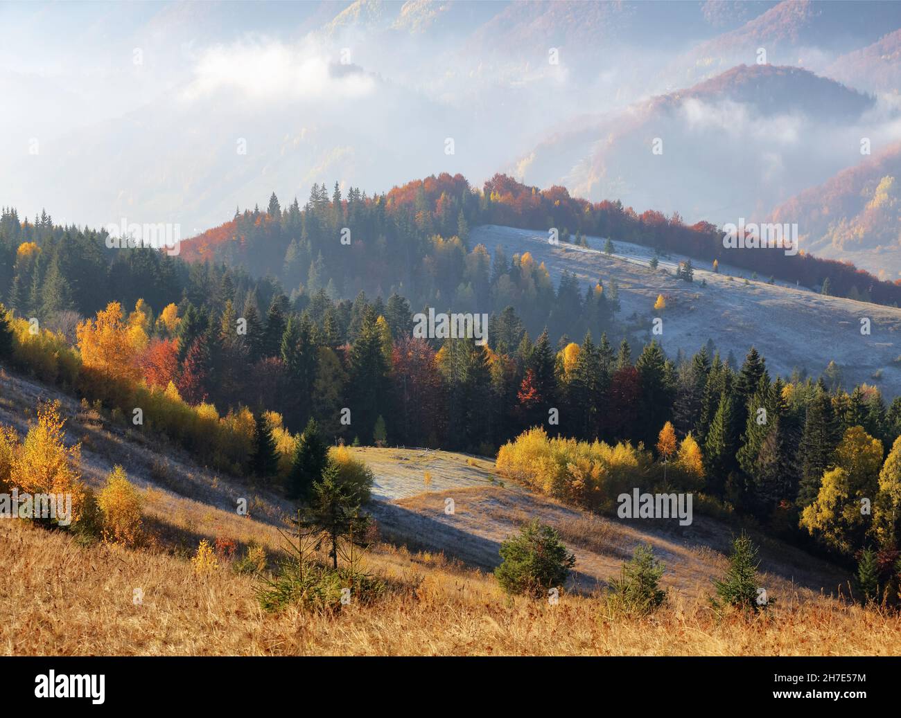 Landscape with amazing mountains, fields and forests covered with ...