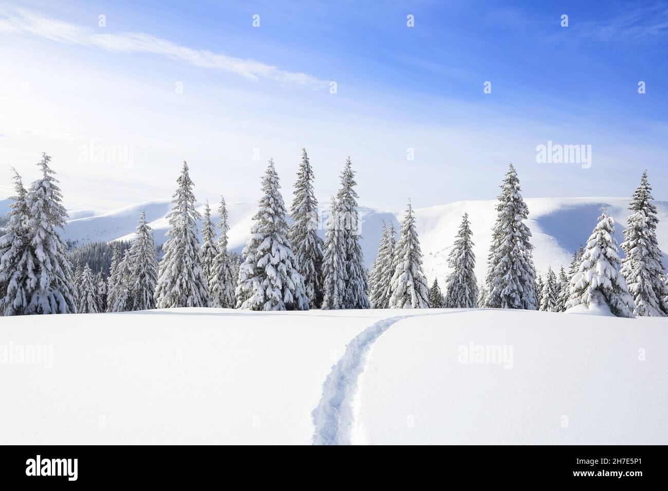 Nature winter landscape. On the lawn covered with snow there is a ...