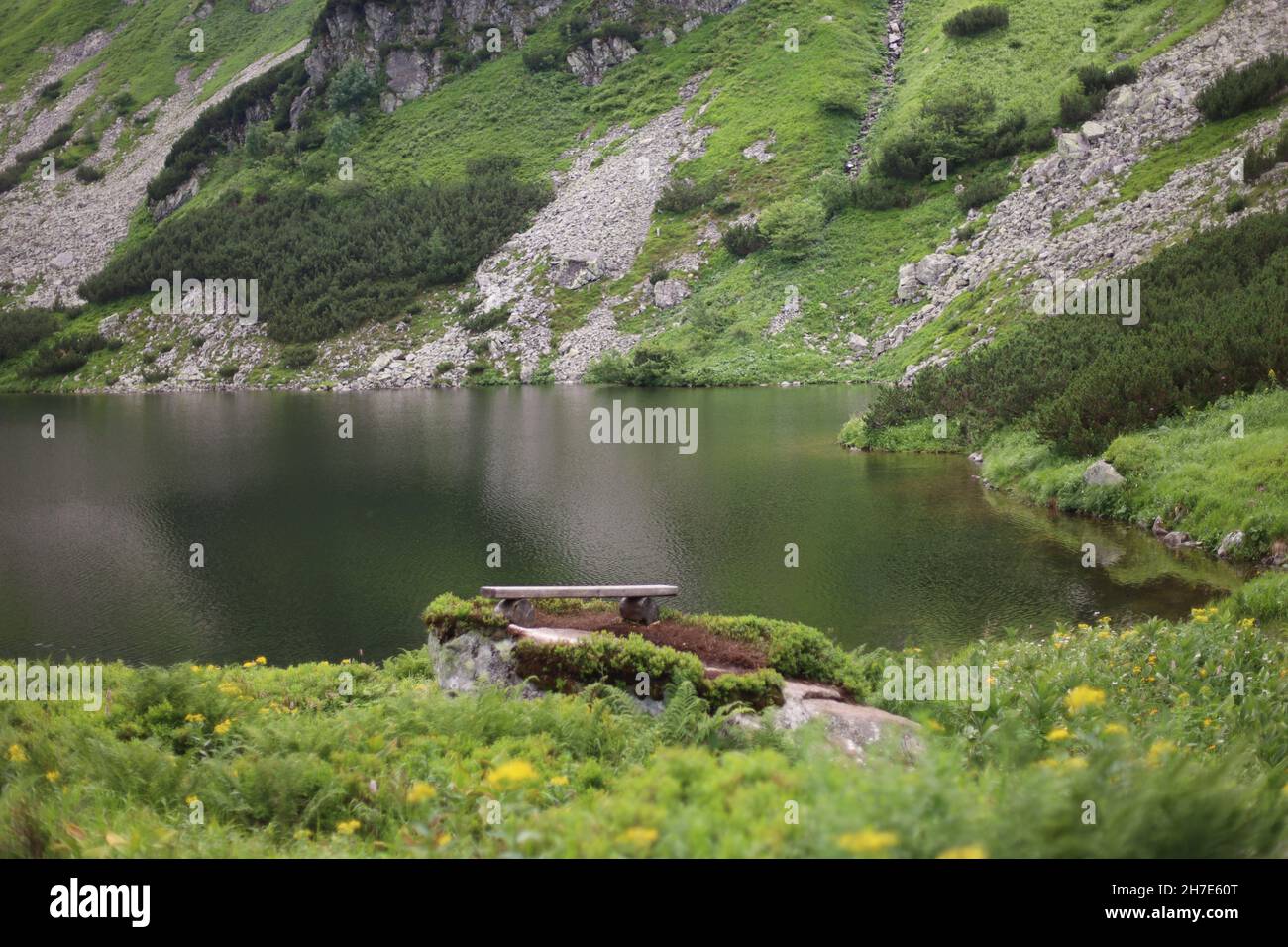 Landscape of a lake surrounded by greenery in the countryside in ...