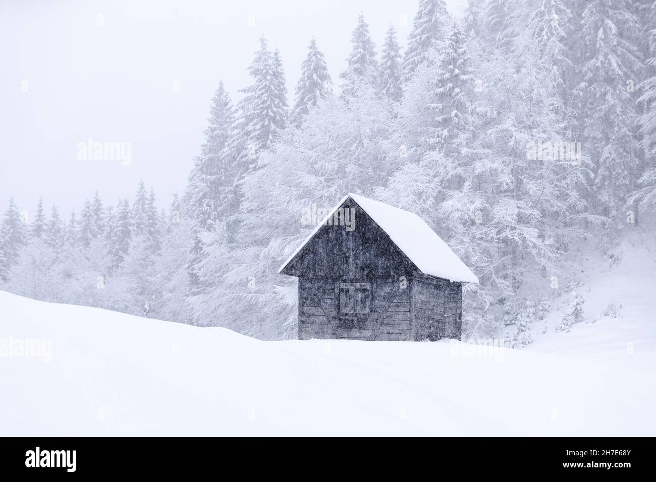 Old Snowy House Wallpaper