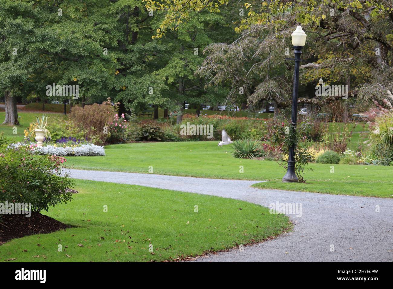 Beautiful park with an unpaved road, green grass and dense trees Stock ...