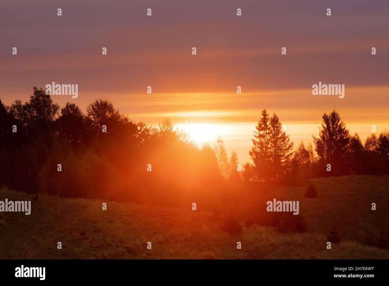 Beautiful sunrise. Sun rays enlighten the meadow with trees. Spring ...