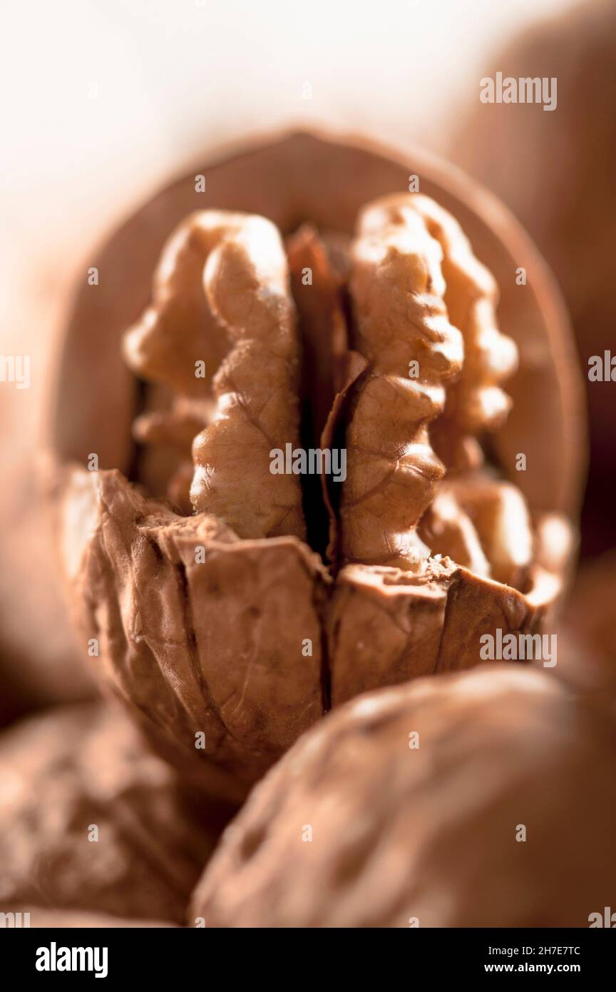 Broken walnut hi-res stock photography and images - Alamy