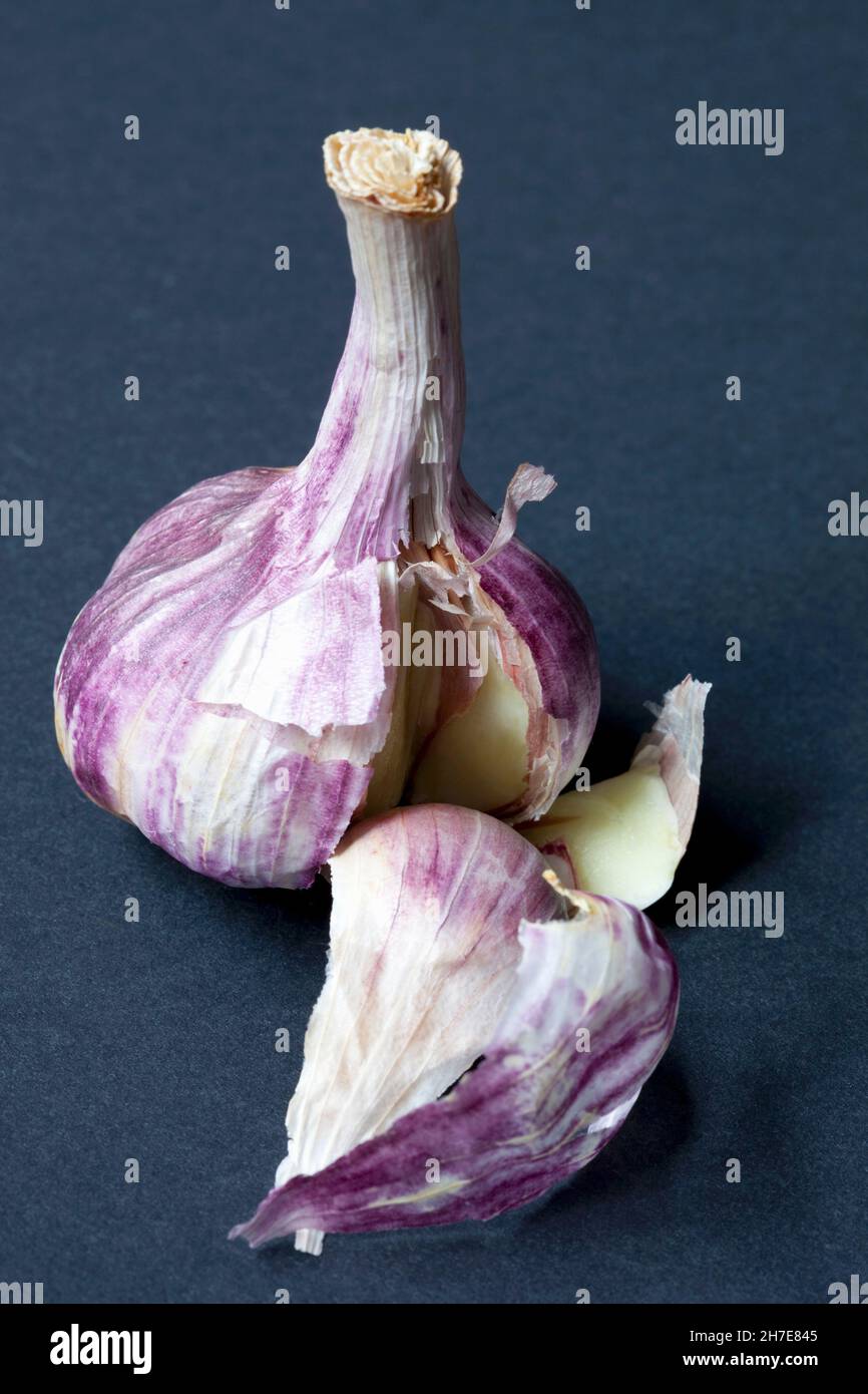 Garlic bulb, broken open Stock Photo - Alamy