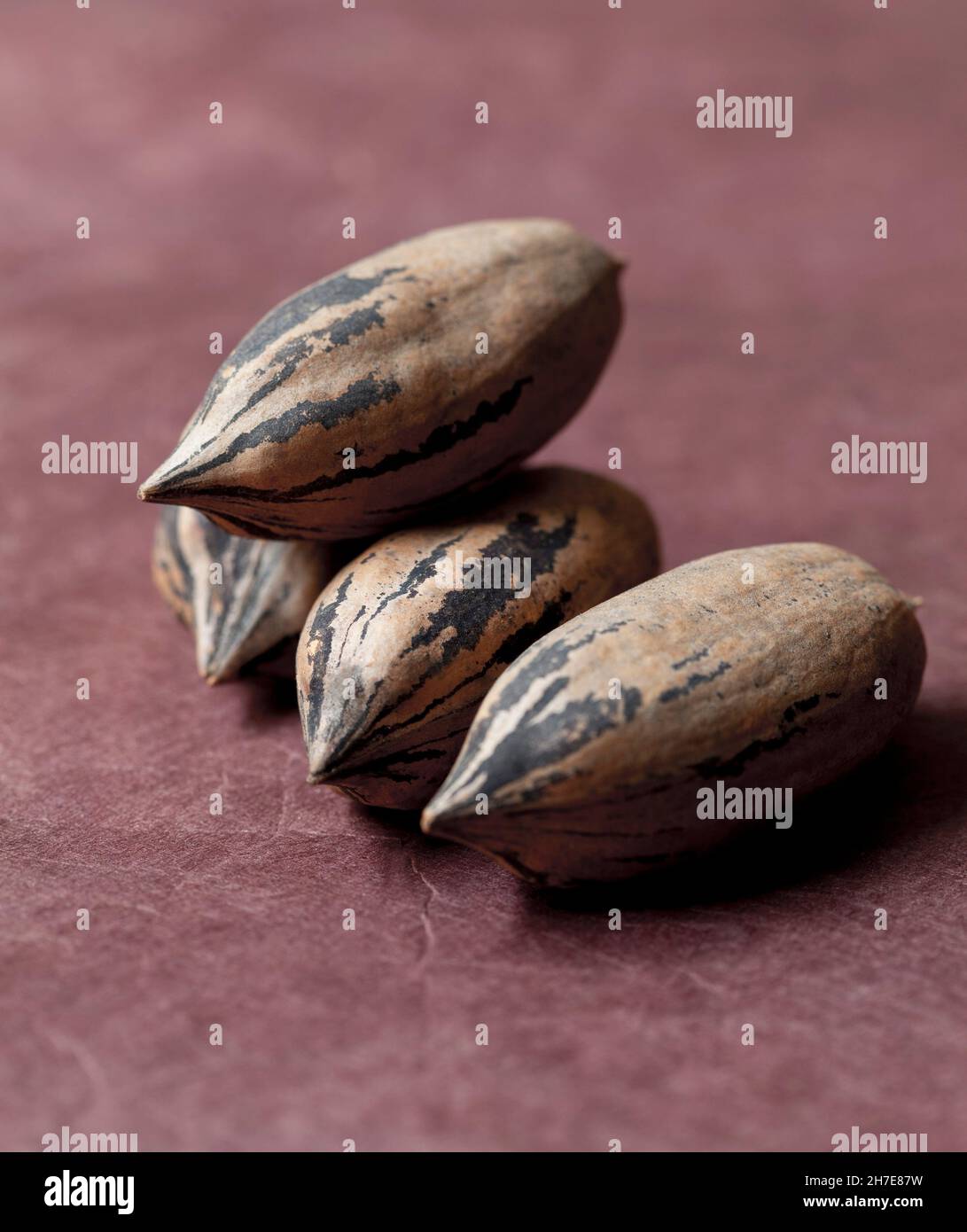 Four pecans (close up Stock Photo - Alamy