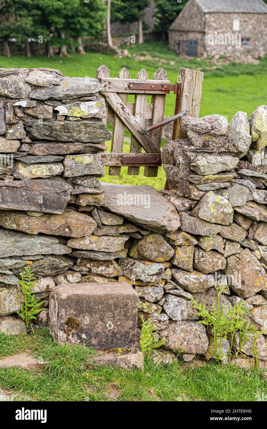 A curious half gate through a dry stone wall on a public footpath in ...