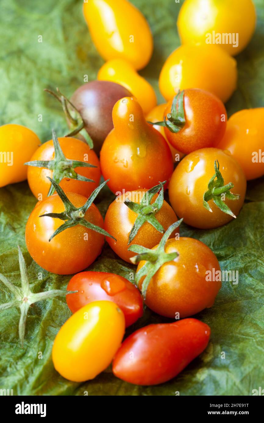 Cherry tomatoes in various colours Stock Photo - Alamy