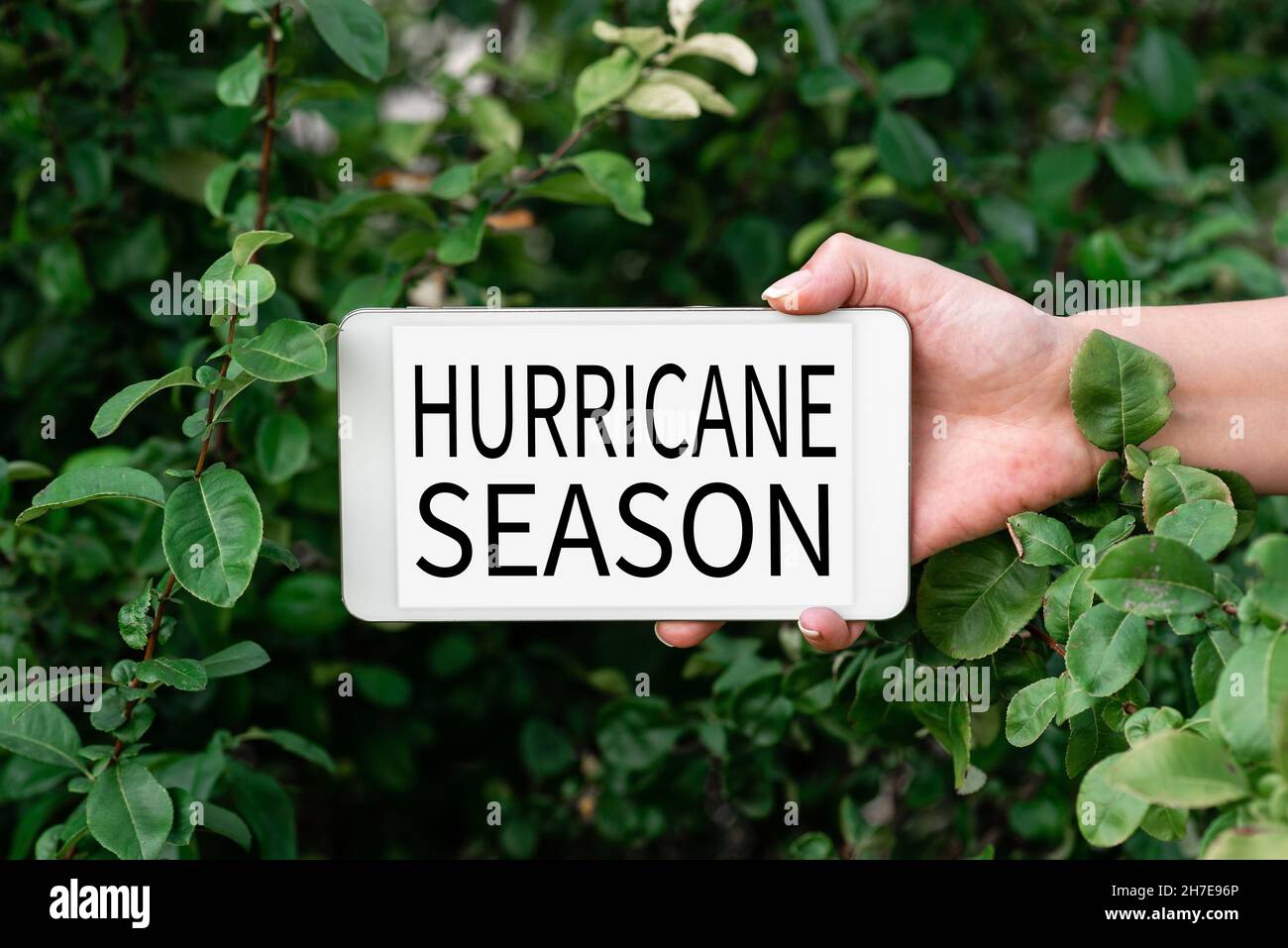 Inspiration showing sign Hurricane Season. Business overview time when ...