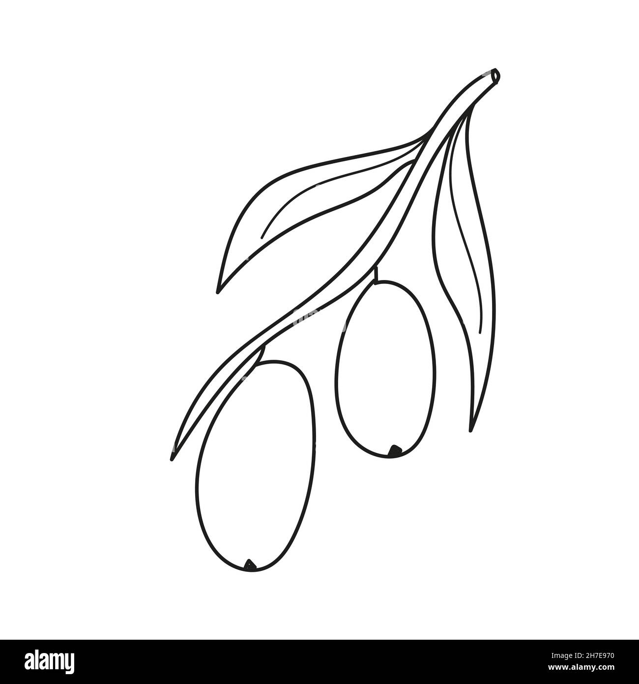 Simple coloring page. Coloring book for children with olives and sketch ...