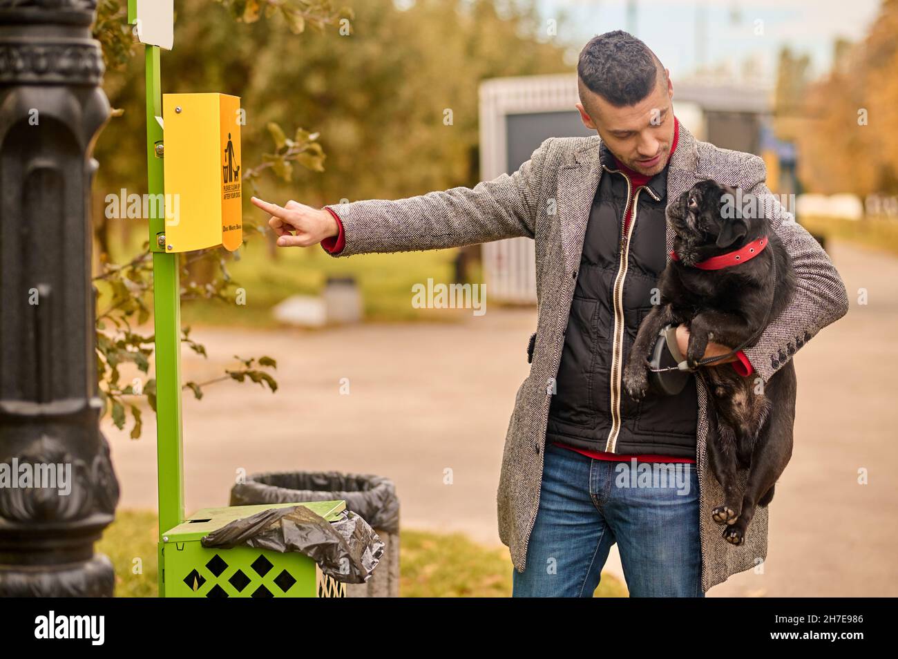 Cleaning air pet hi-res stock photography and images - Alamy