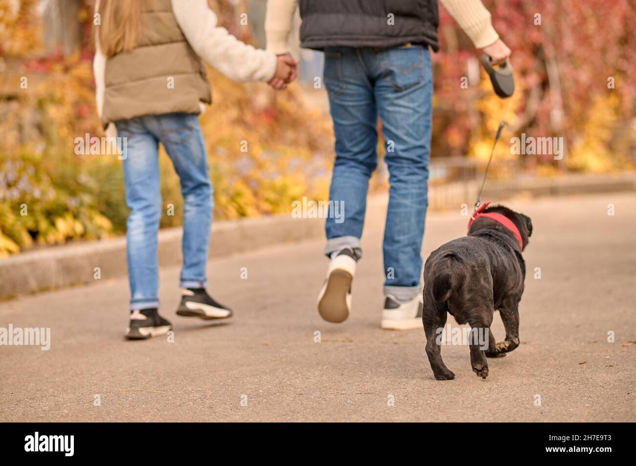 A family going for a walk with a dog Stock Photo - Alamy