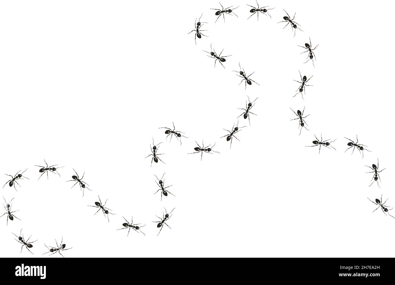 Ants food kitchen Stock Vector Images - Alamy