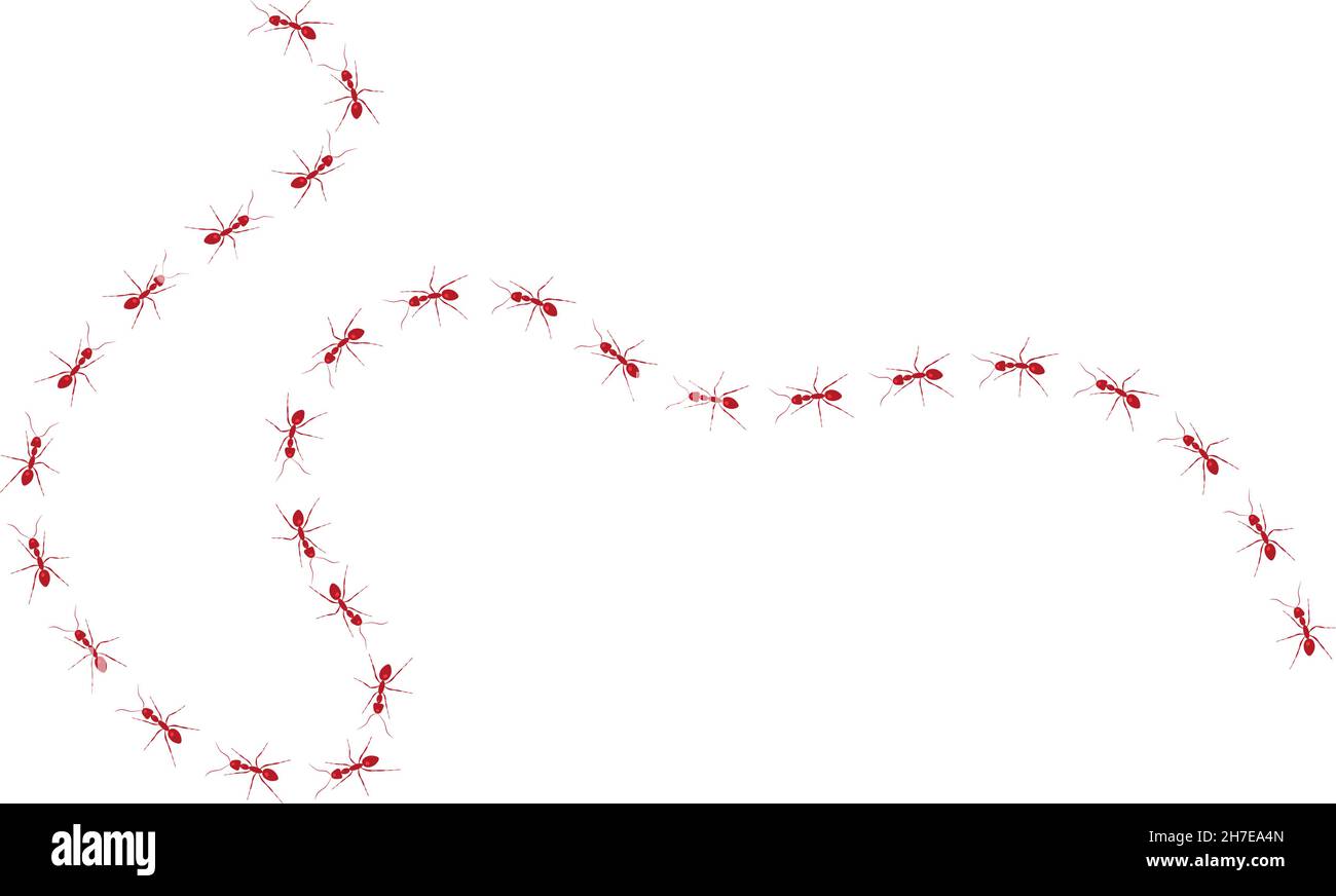 Ants hill Stock Vector Images - Alamy