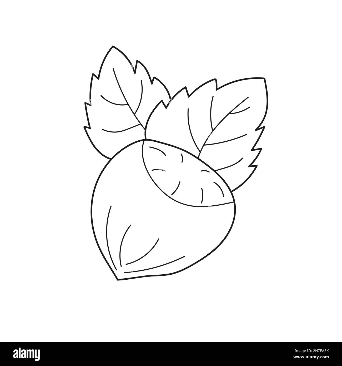 Simple coloring page. Hazelnut to be colored, the coloring book. Easy ...