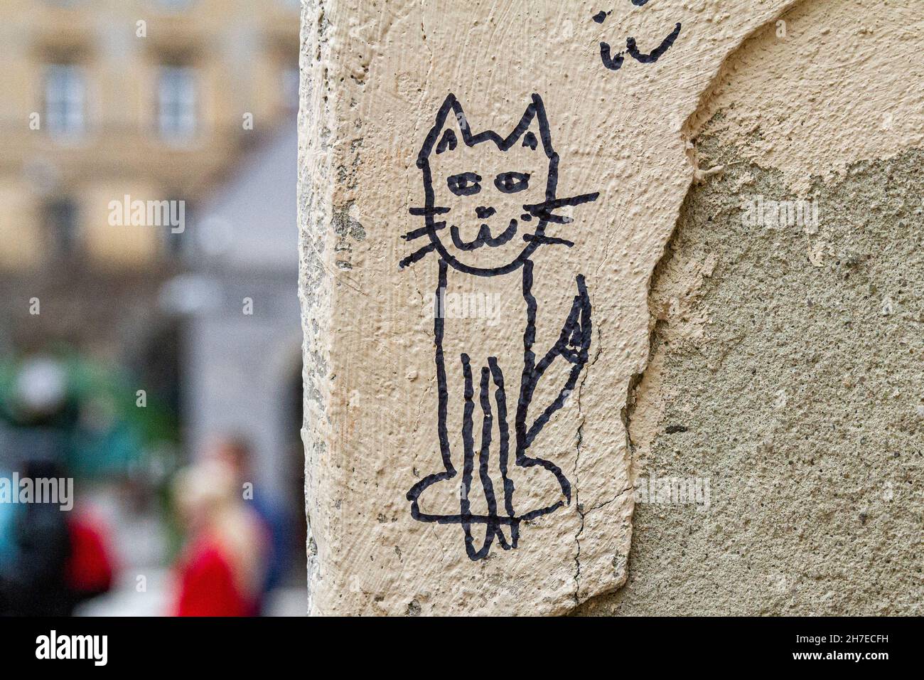 Street art cat hi-res stock photography and images - Alamy