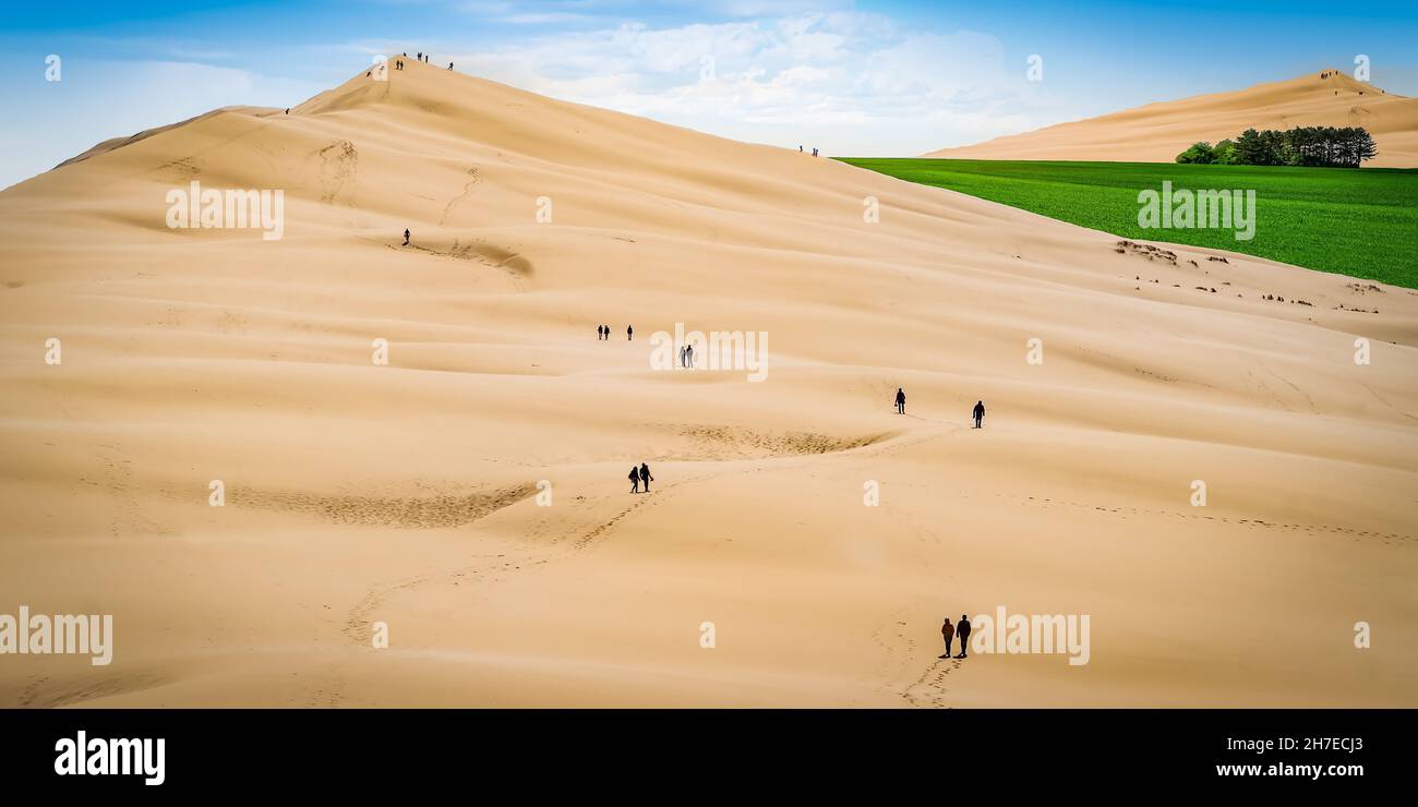 Several People Walking Through the Desert Towards an Oasis Stock Photo ...