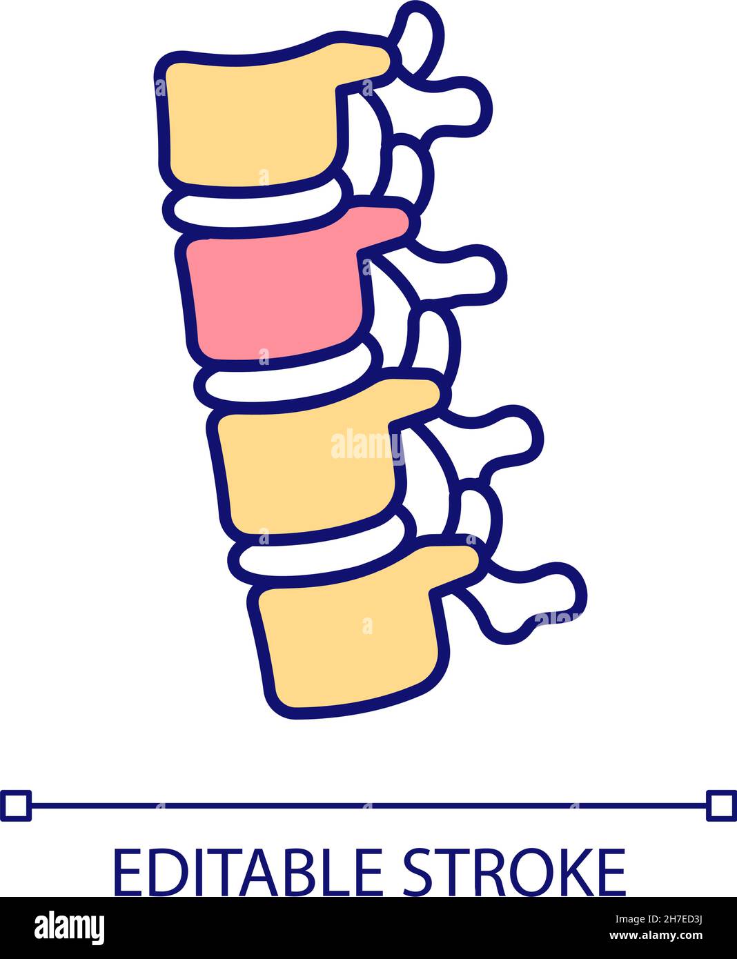 Vertebrae RGB color icon Stock Vector Image & Art - Alamy