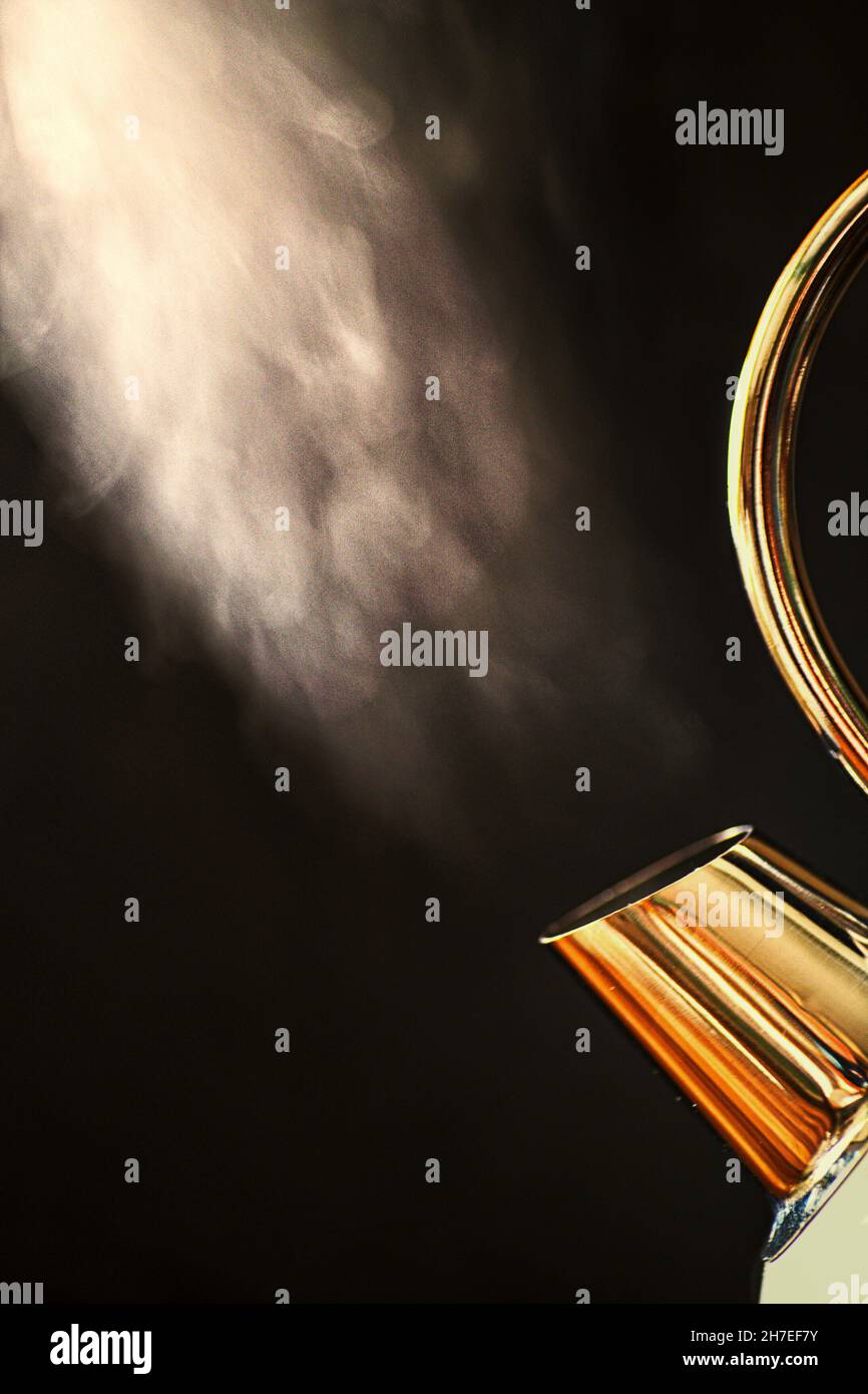 An original World War 1 fiddle, engraved with the places it saw action ...