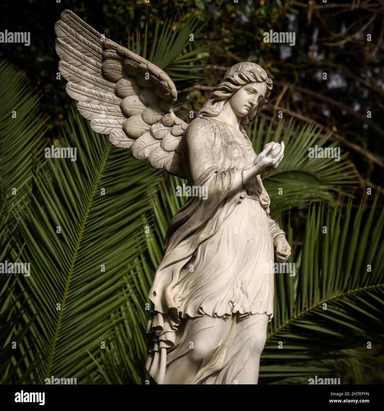 White angel statue with tropical trees on the background in the park ...