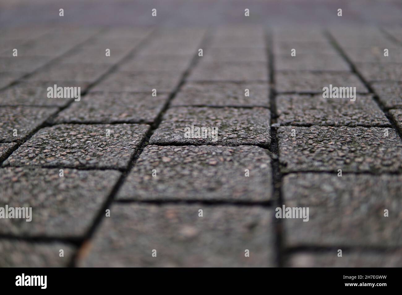 Shallow focus of a gray brick ground with a pattern Stock Photo - Alamy