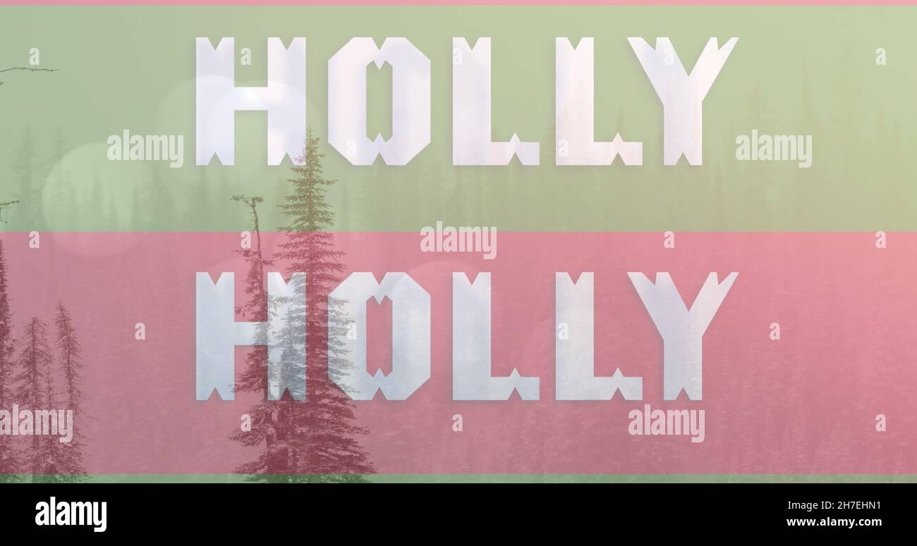 White holly christmas holly hi-res stock photography and images - Alamy