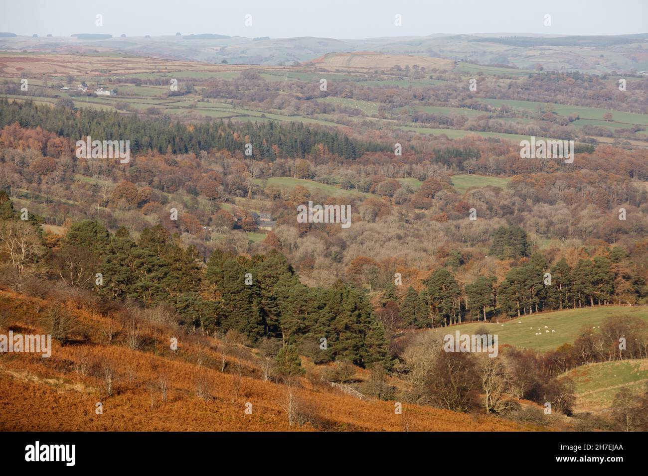 Storey Arms, Brecon Beacons, South Wales, UK. 22 November 2021. UK ...