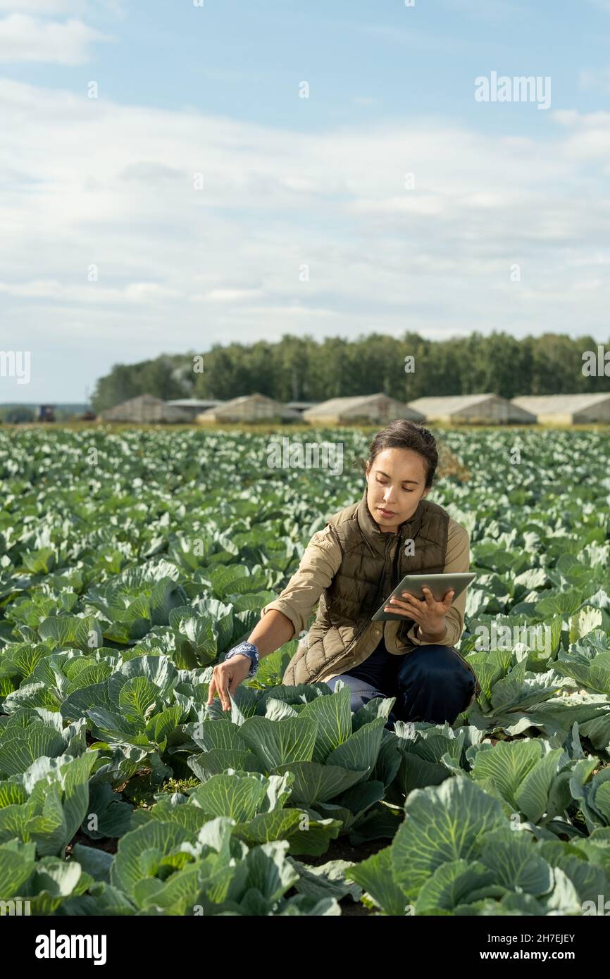 Serious young female agricultural specialist with tablet crouching at ...