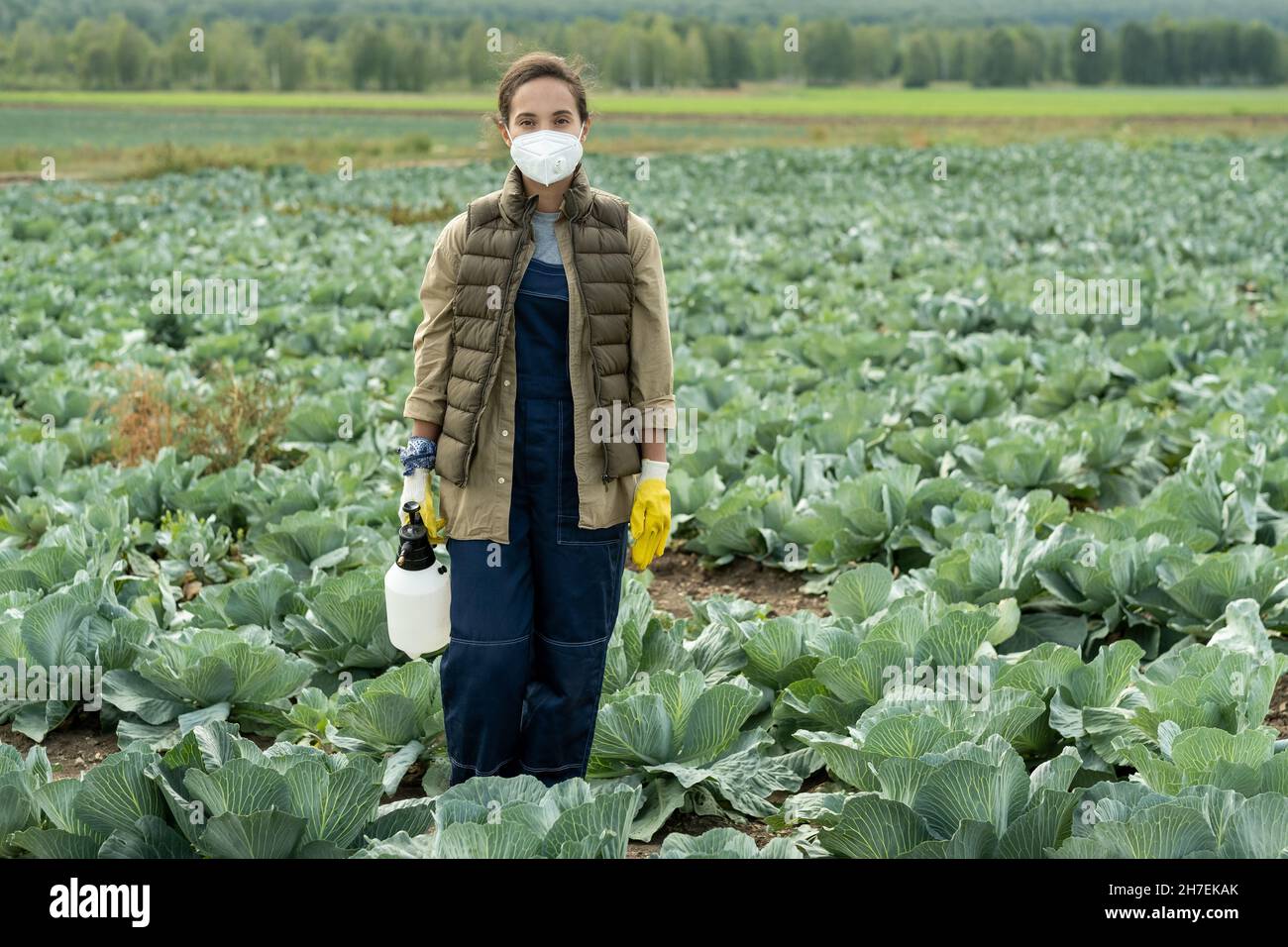 Full length portrait of female cabbage grower in respirator and gloves ...