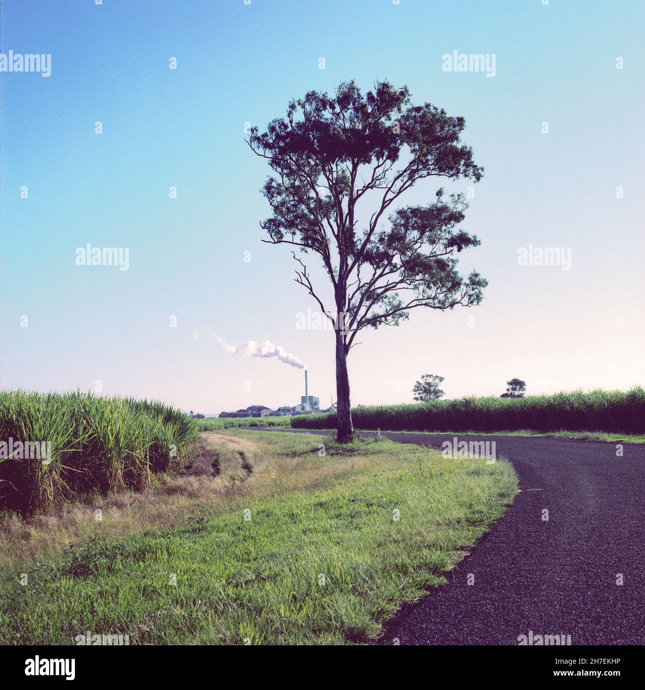 Australian farming hi-res stock photography and images - Alamy