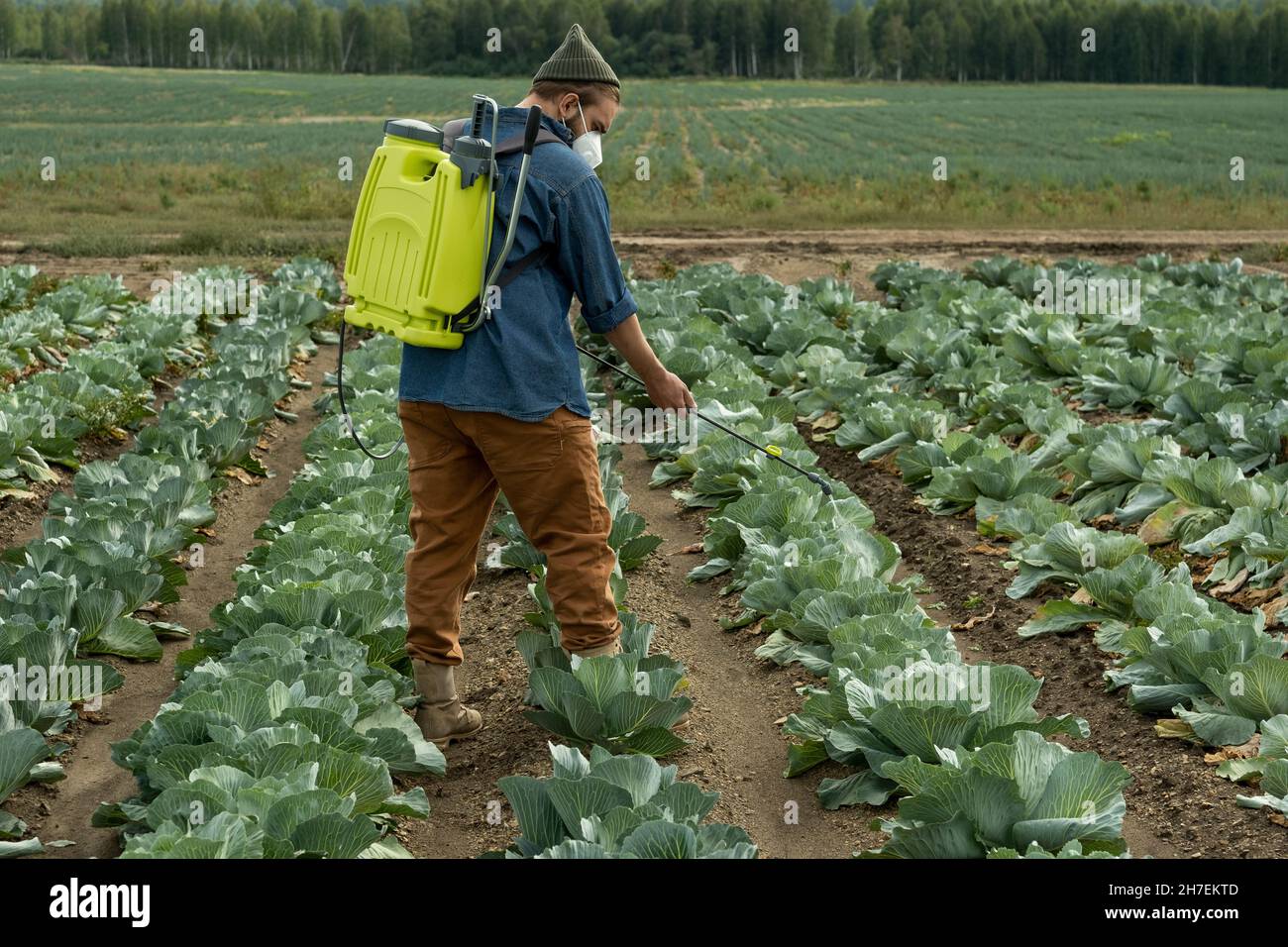 Young farmer in respirator and hat wearing pressure sprayer backpack ...