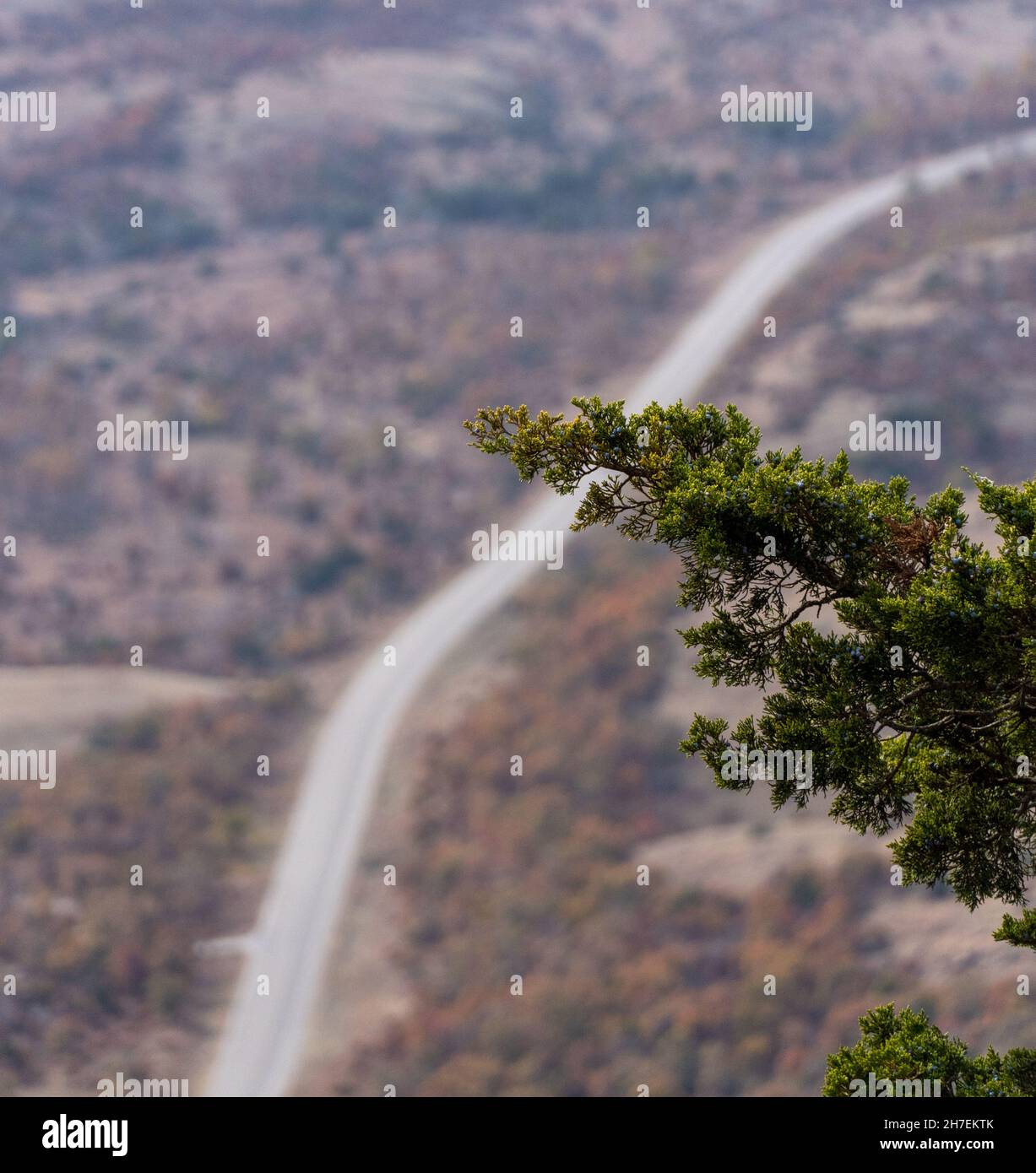Tree and road Stock Photo - Alamy