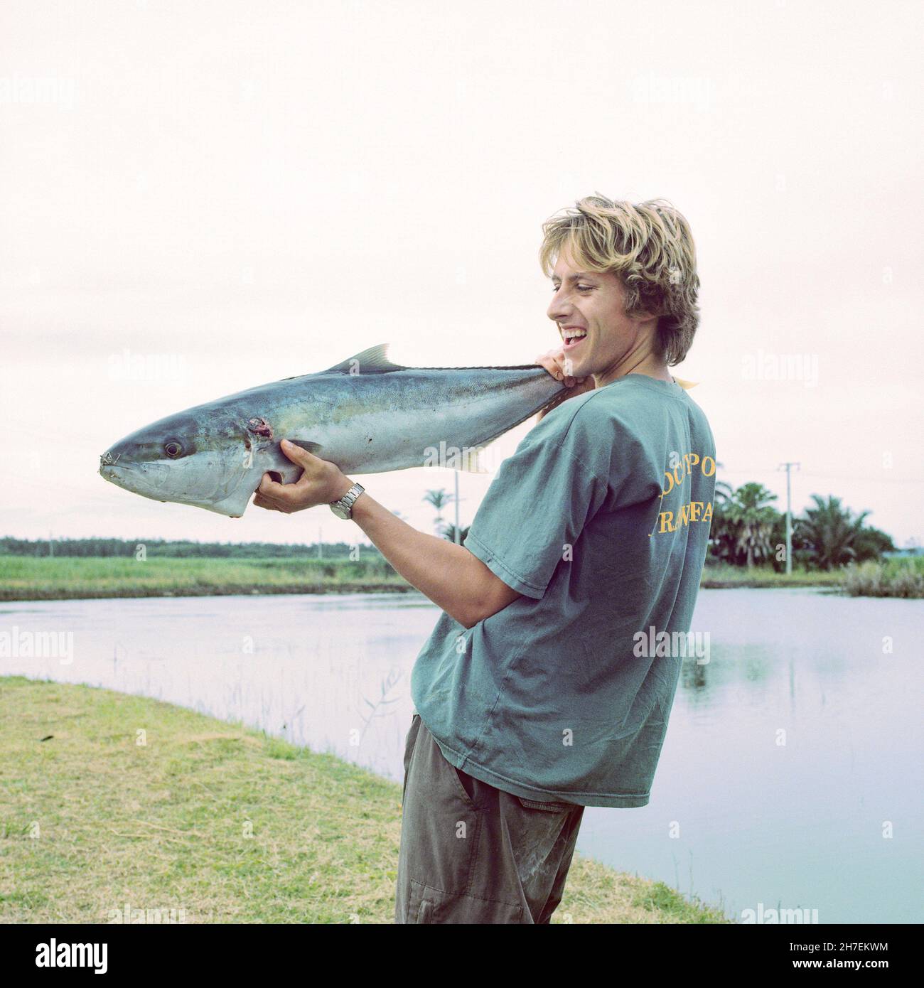 Australian kingfish hi-res stock photography and images - Alamy