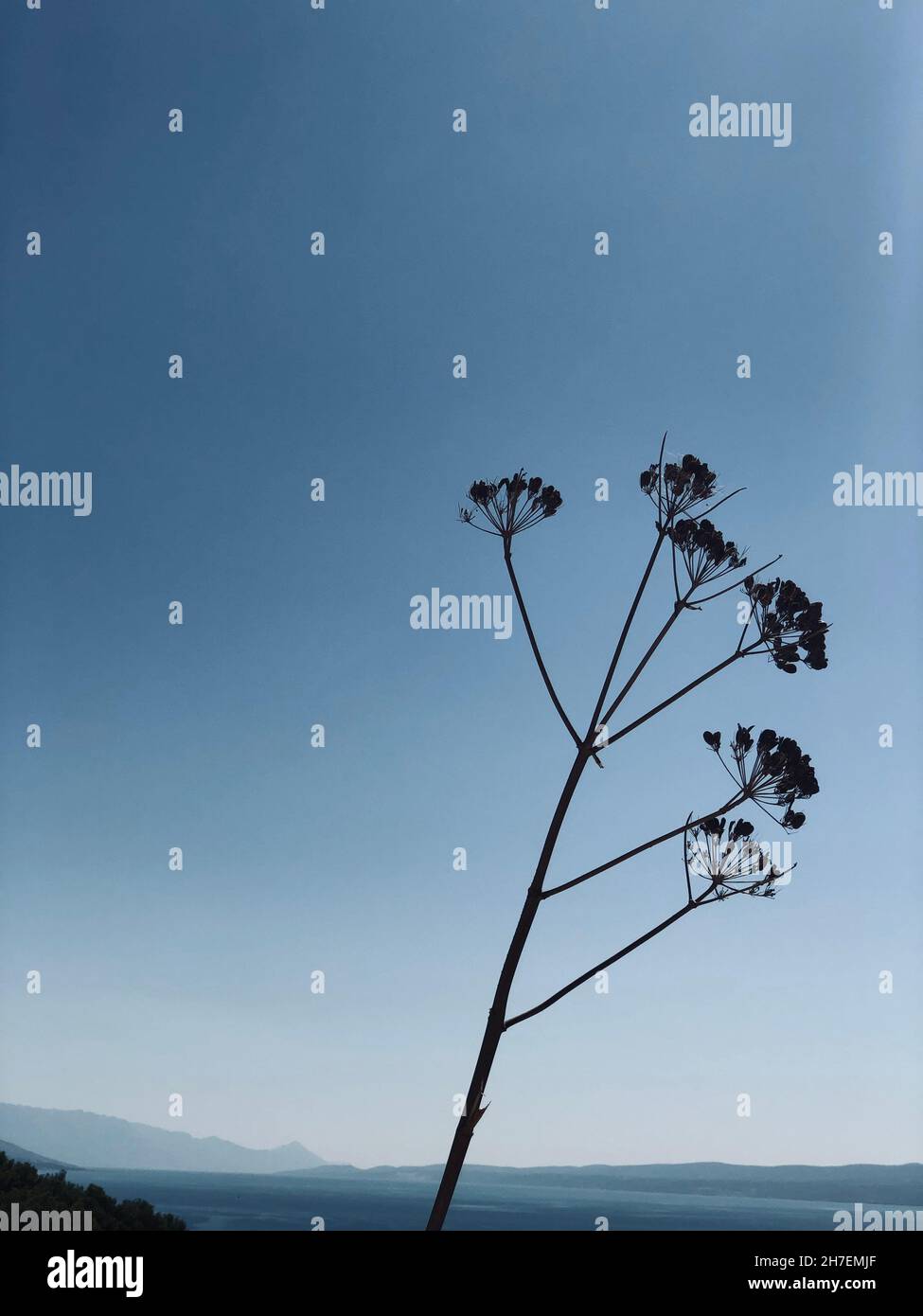 Minimal minimalism minimalistic landscape hi-res stock photography and ...