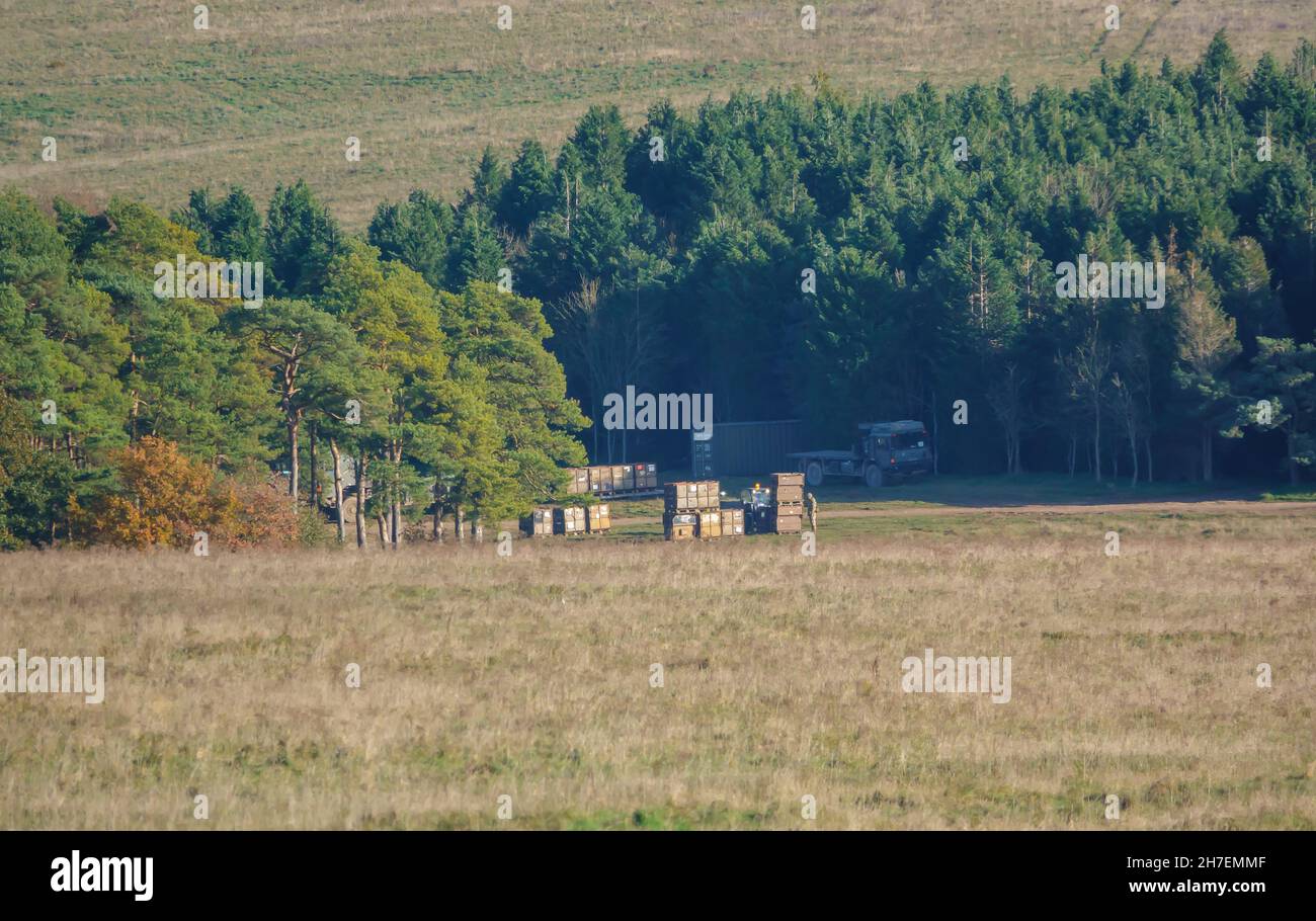 metal shipping container hidden amongst woodland and protected by ...