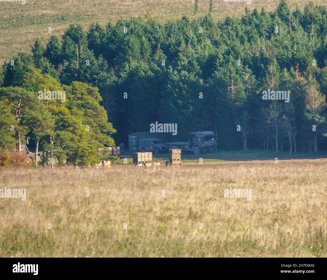 metal shipping container hidden amongst woodland and protected by ...