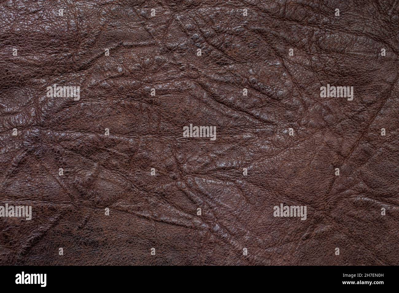 brown leather texture, close up. Wrinkled leather Stock Photo - Alamy