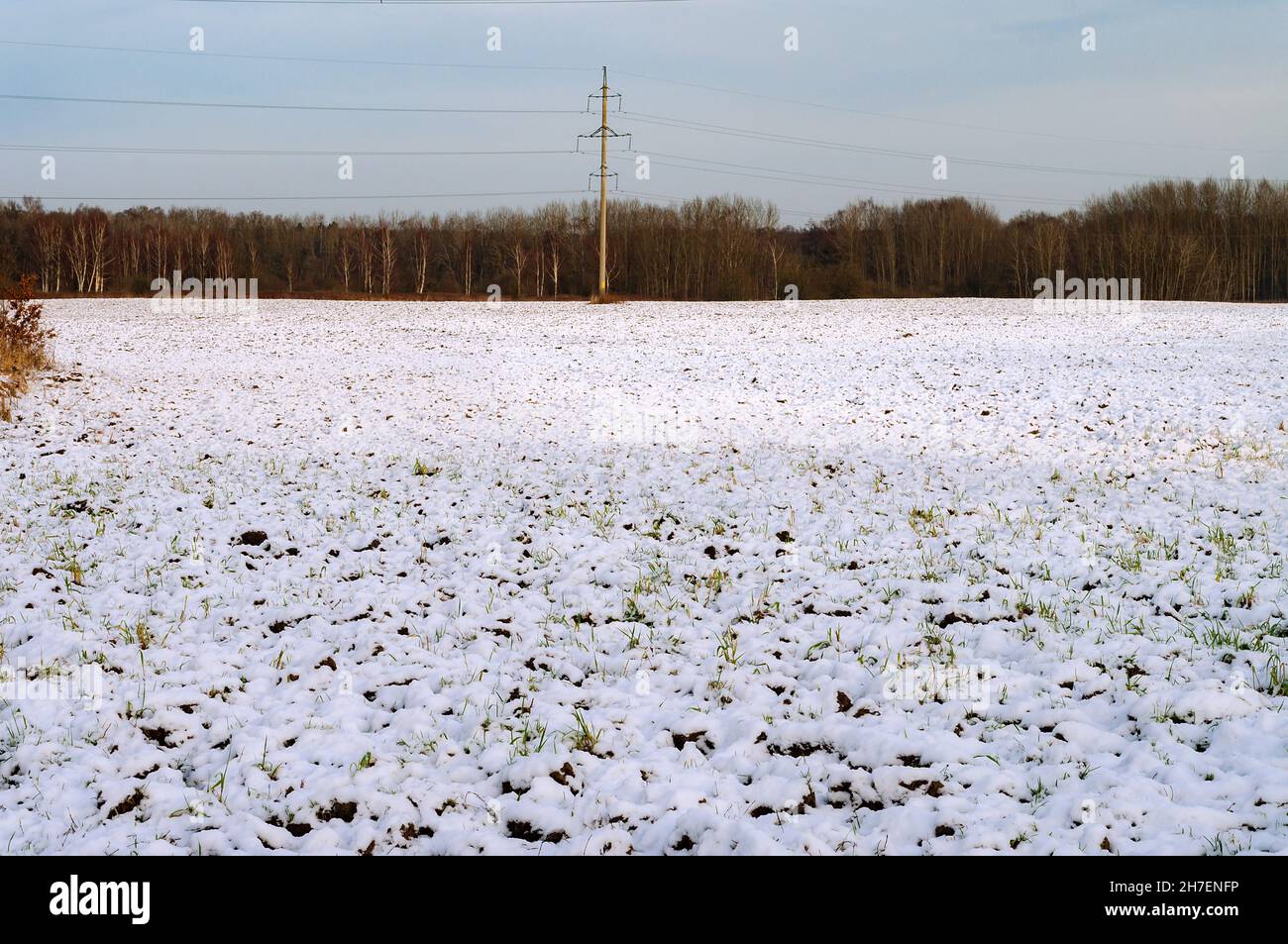 Snow on a plowed field. Spring and melting snow. Early spring in the ...