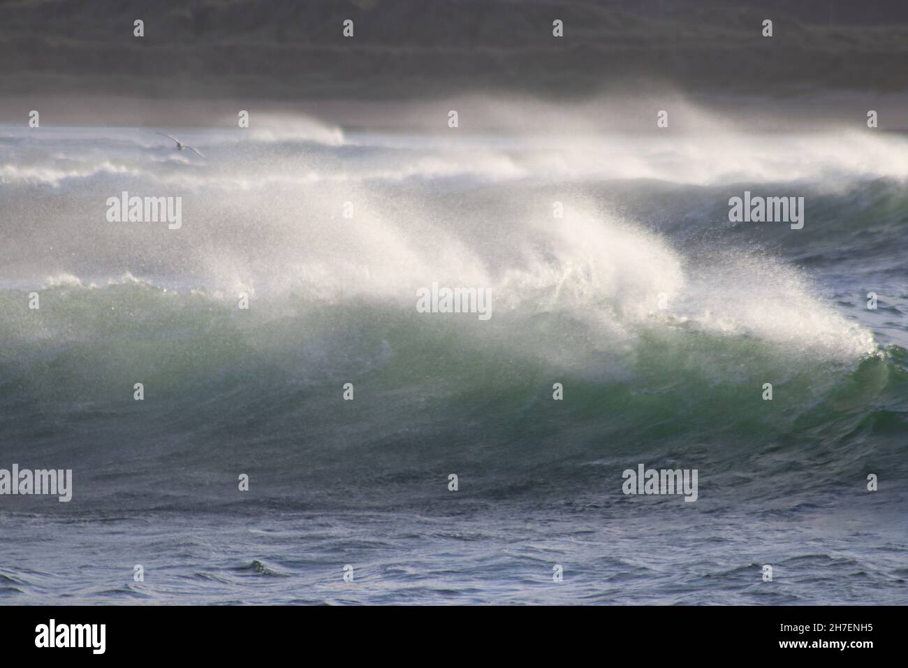 Wind-blown, stormy waves Stock Photo - Alamy