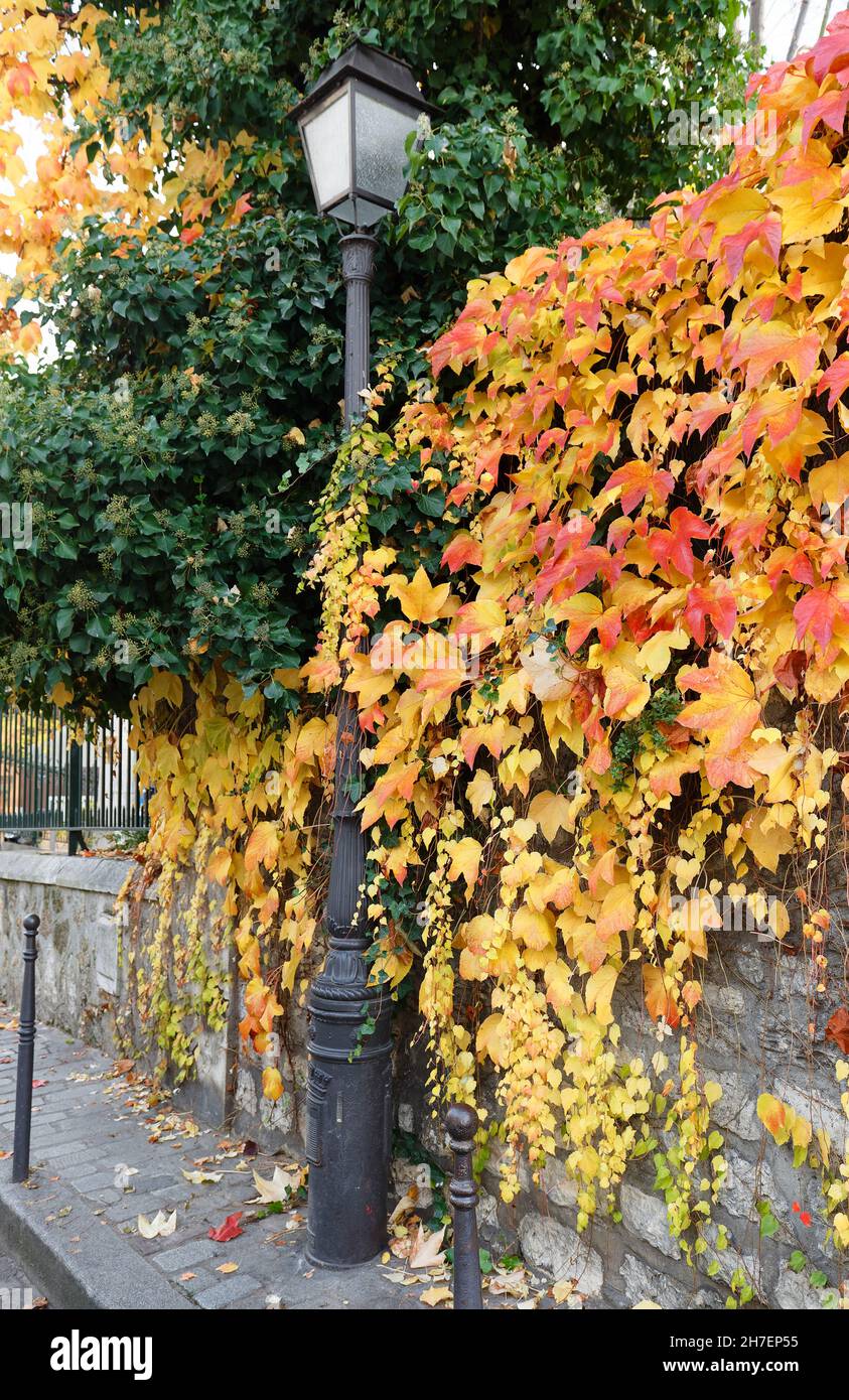 The autumn colors leaves around typical French lamp post in a narrow ...