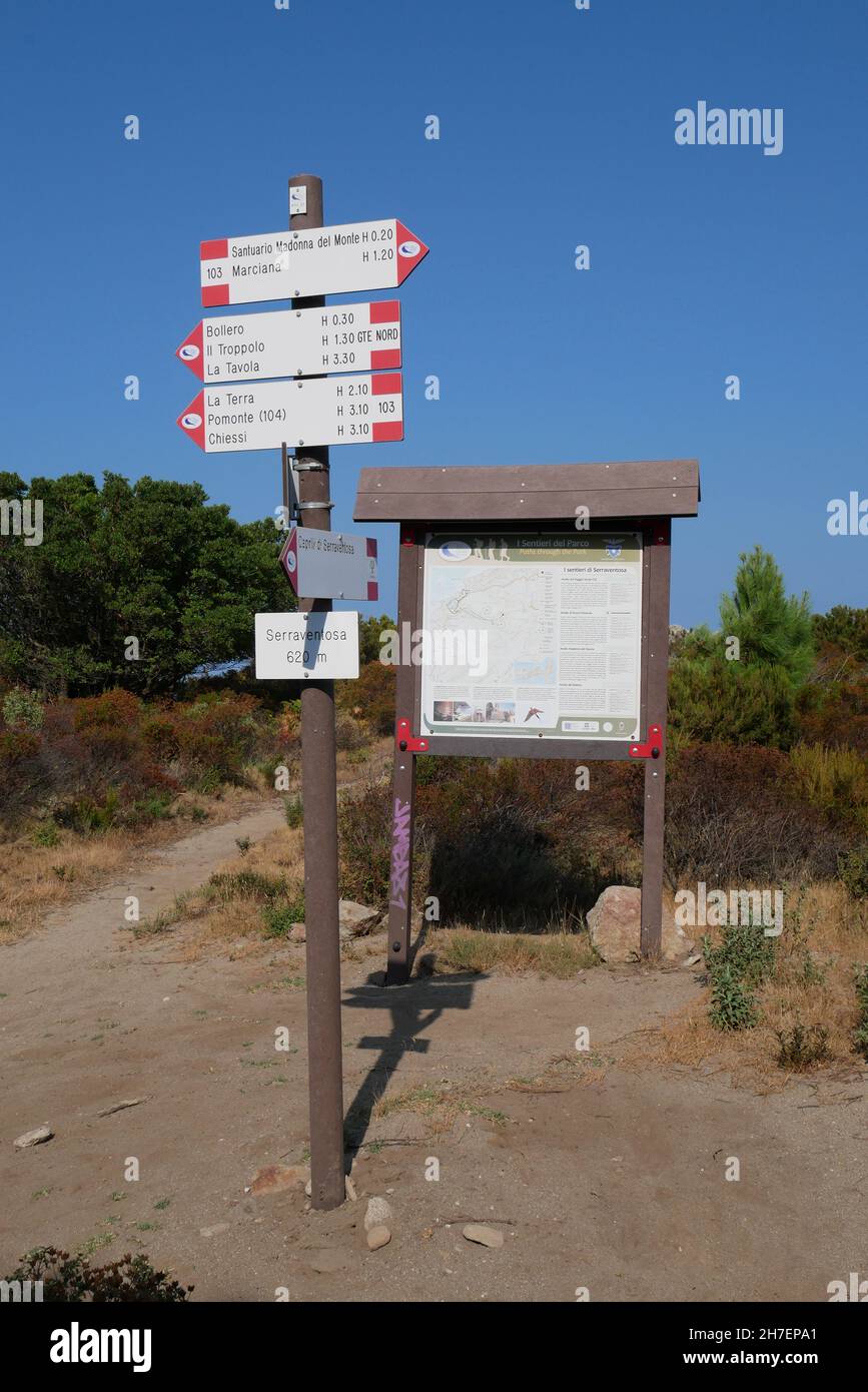 Vertical shot of arrow signs on the road in a sunny weather Stock Photo ...