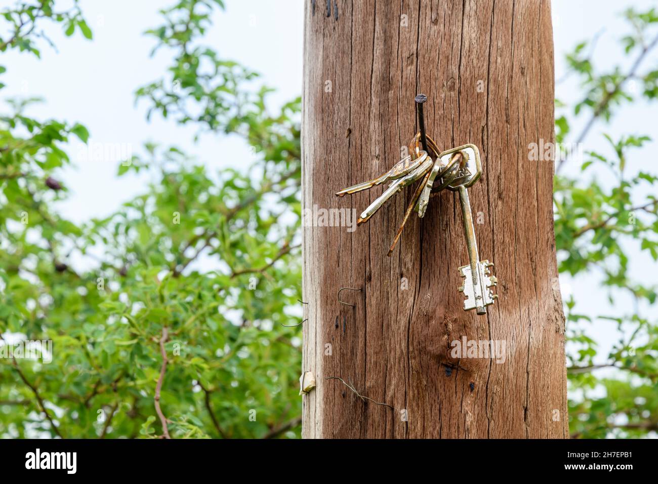 Bunch of keys new and old, hanging in a permanent place, hung on a ...