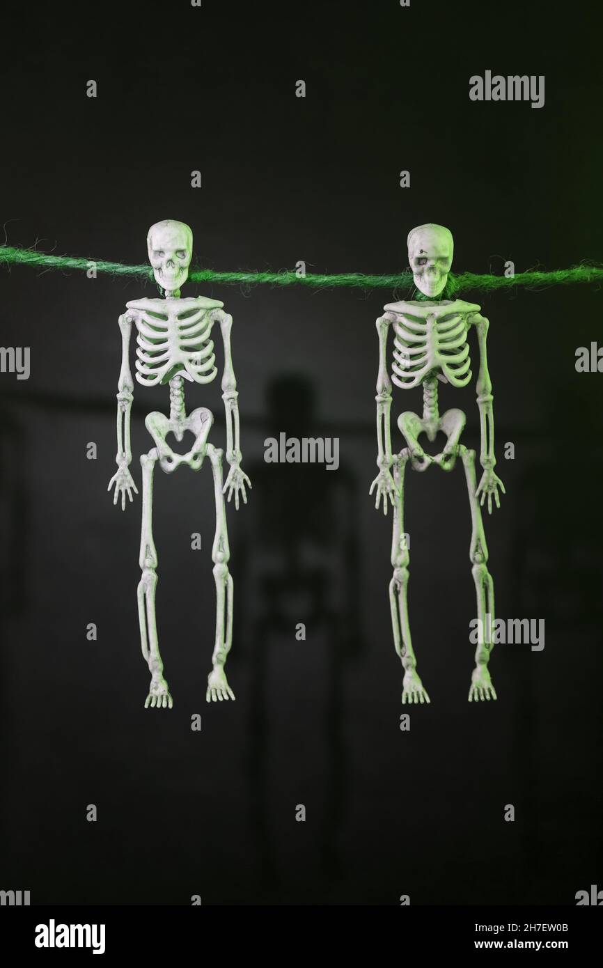 Decorative Skeletons hang on a rope on a gloomy background. Halloween ...