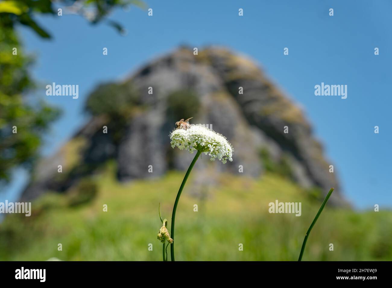 St paul's rock new zealand hi-res stock photography and images - Alamy