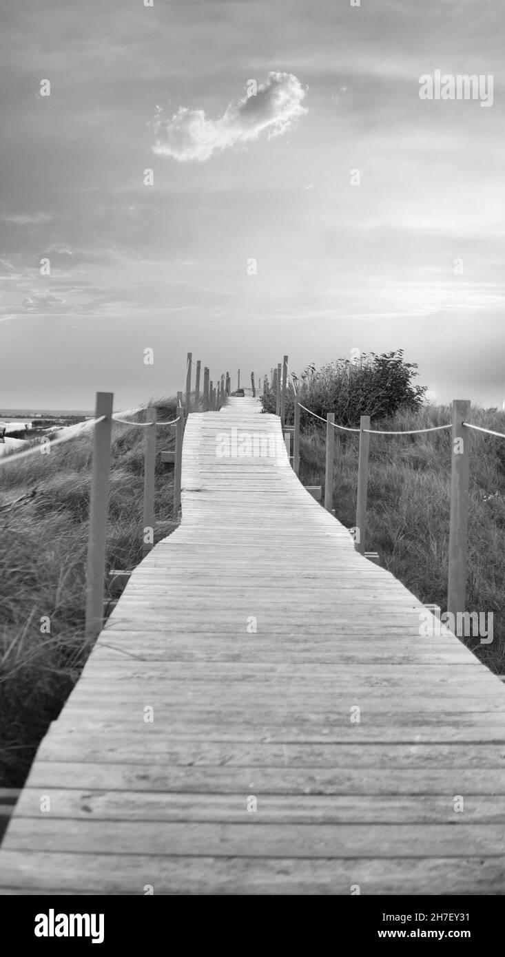 Plank paths on Helgoland Stock Photo - Alamy