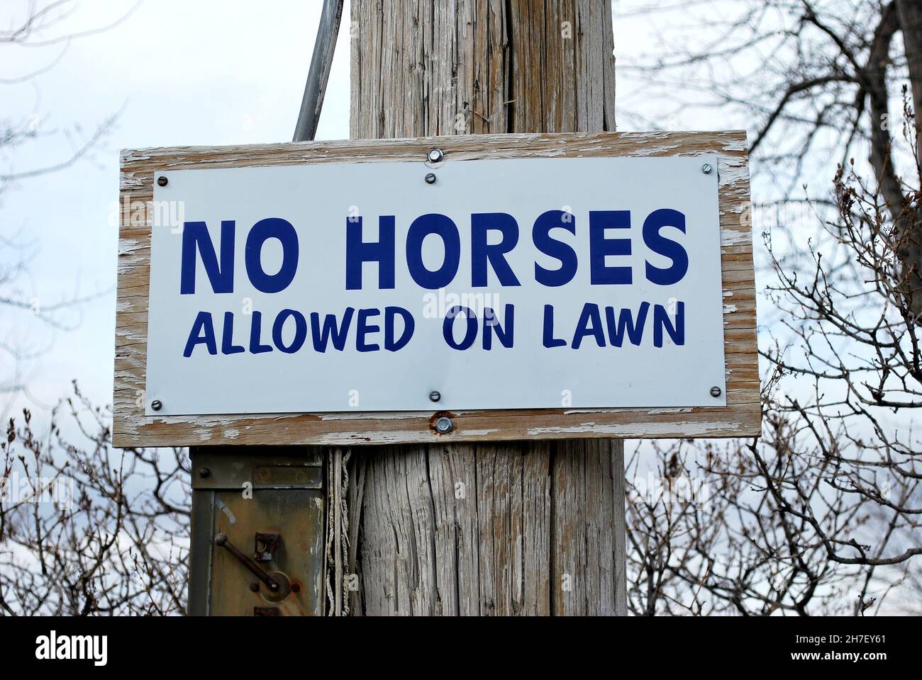 No horses allowed on lawn sign posted outdoors Stock Photo - Alamy