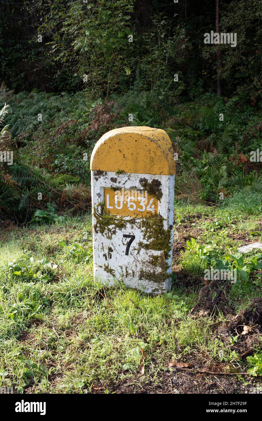 Vertical shot of an old road sign surrounded by green vegetation Stock ...