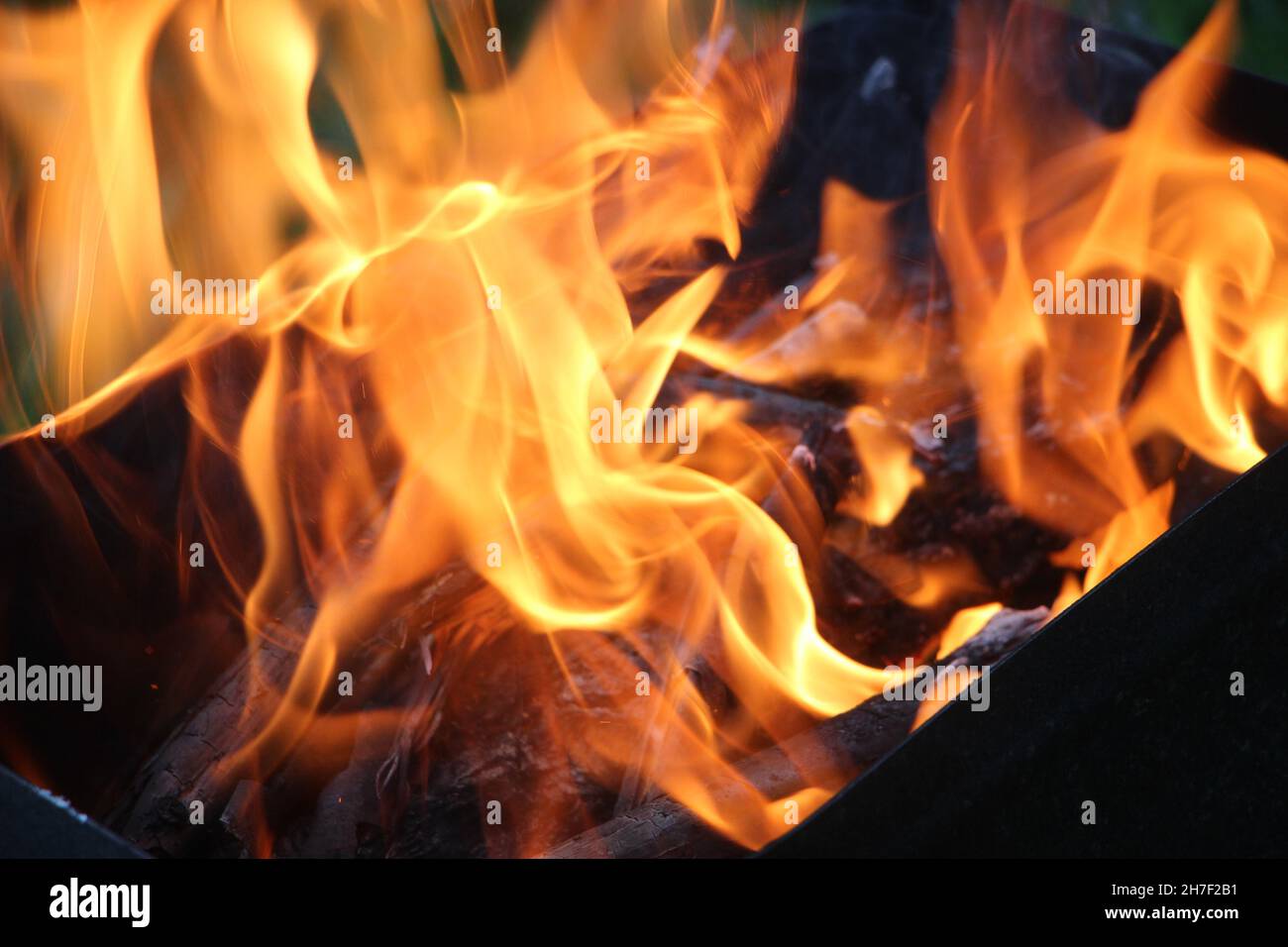 Smoldering ashes of a bonfire. Fire burns closeup at campfire Stock ...